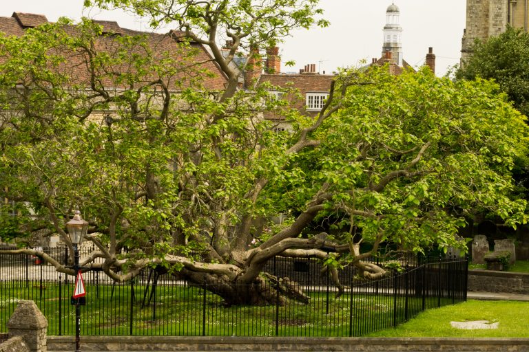 WAY To Rochester ~ ian-scott.net