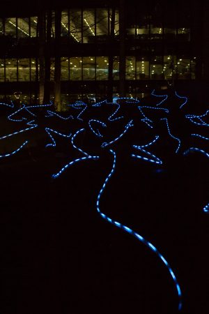 Canary Wharf Winter Lights 2020 ~ ian-scott.net